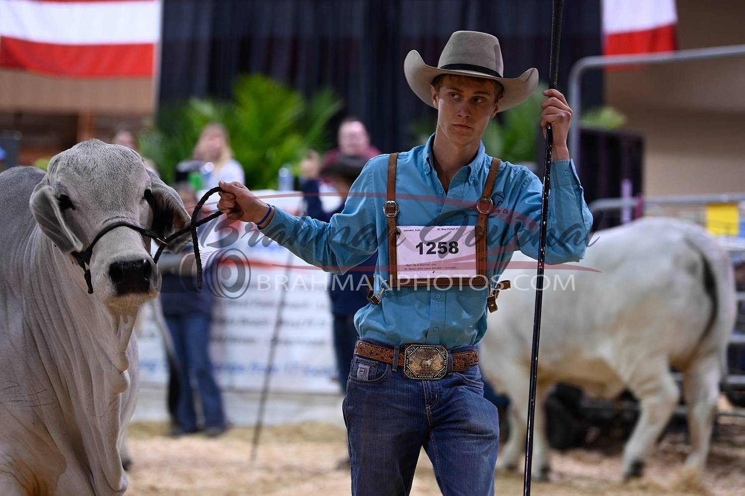 2024 West Palm Open Brahman Show - Brahman Photos - 2024 SHOWS ...